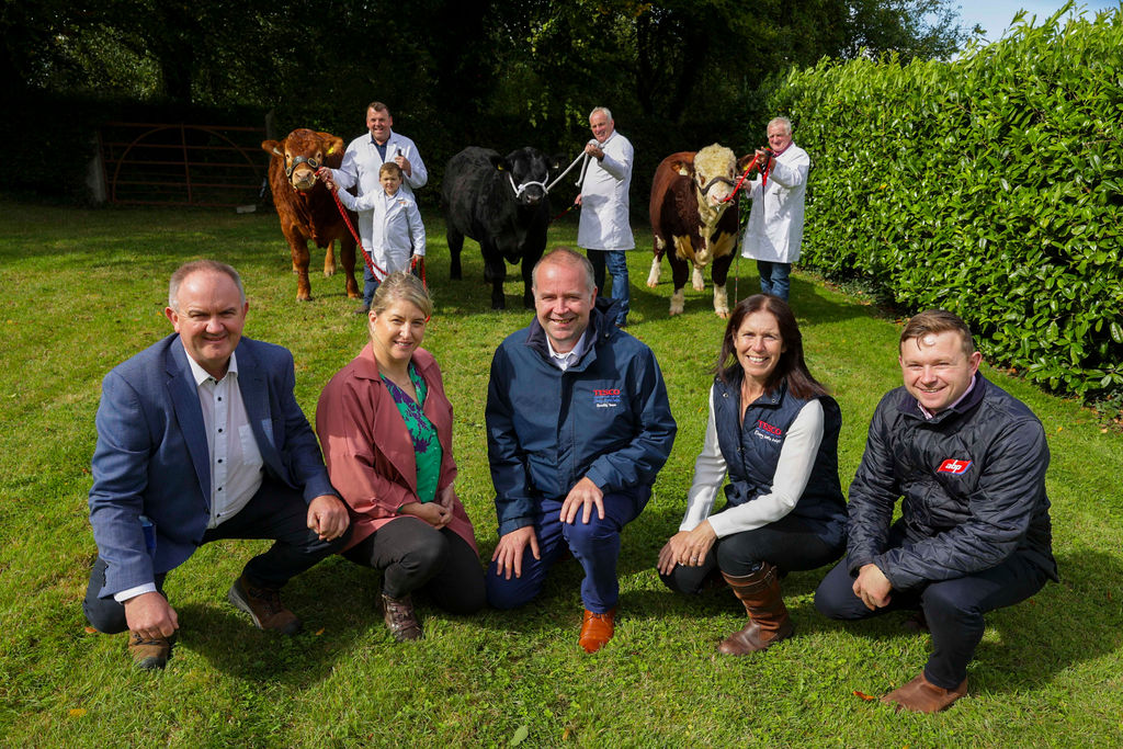 Tesco Ireland Backs Groundbreaking Beef Sustainability Initiative