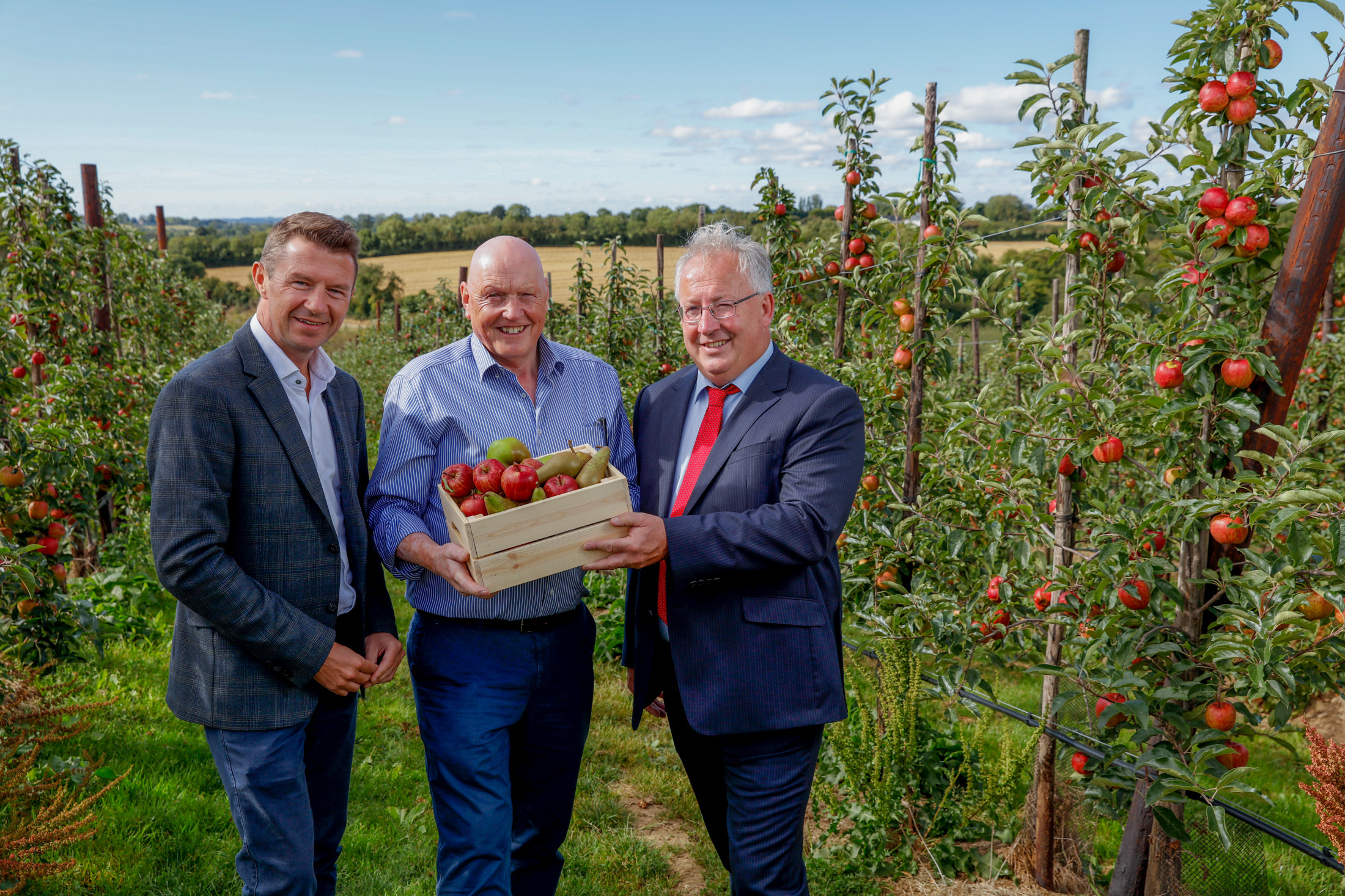 Tesco and McCann Orchards partnership brings Irish apples and pears to ...