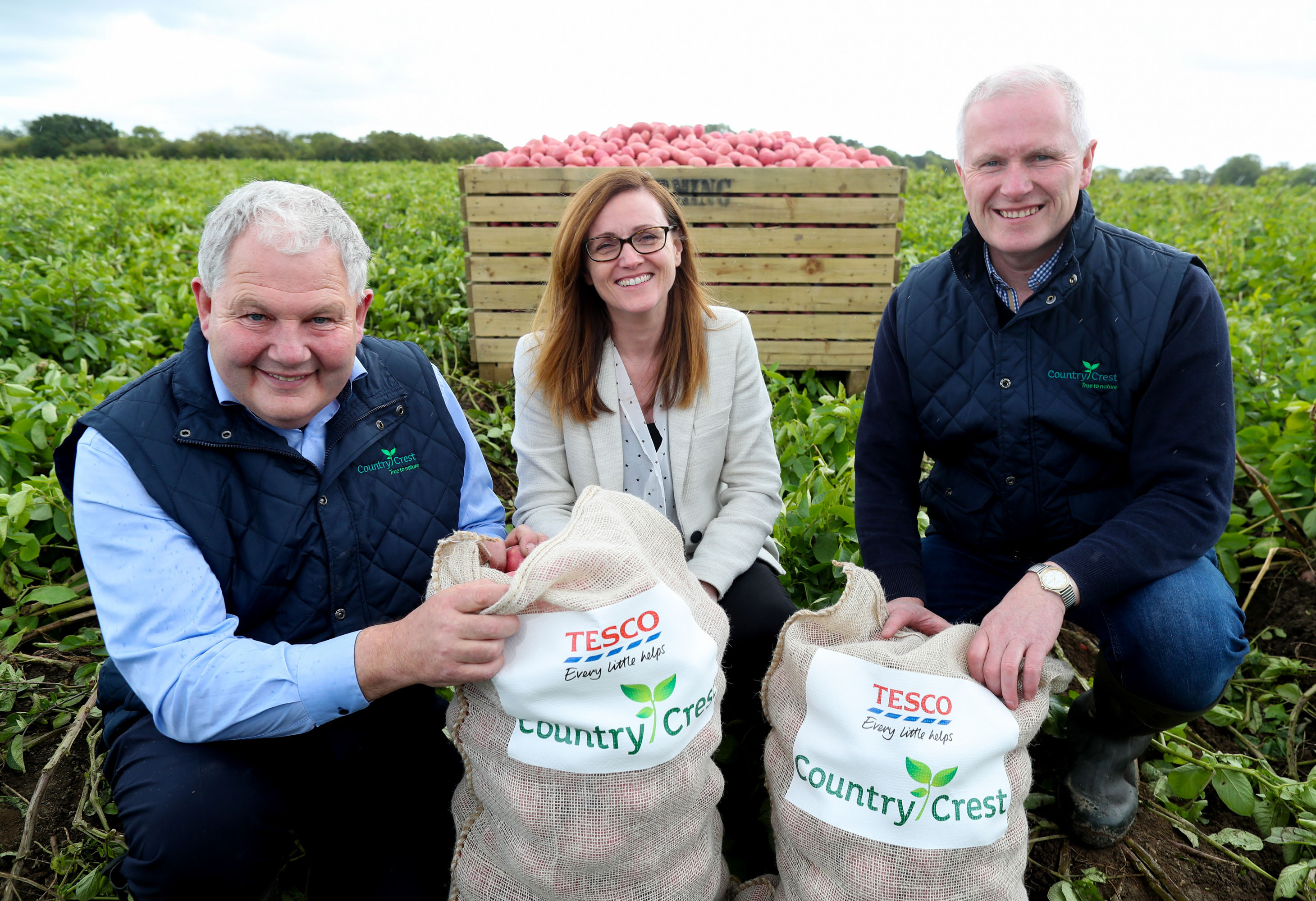 Country Crest cultivates Tesco Ireland relationship with €60 million ...