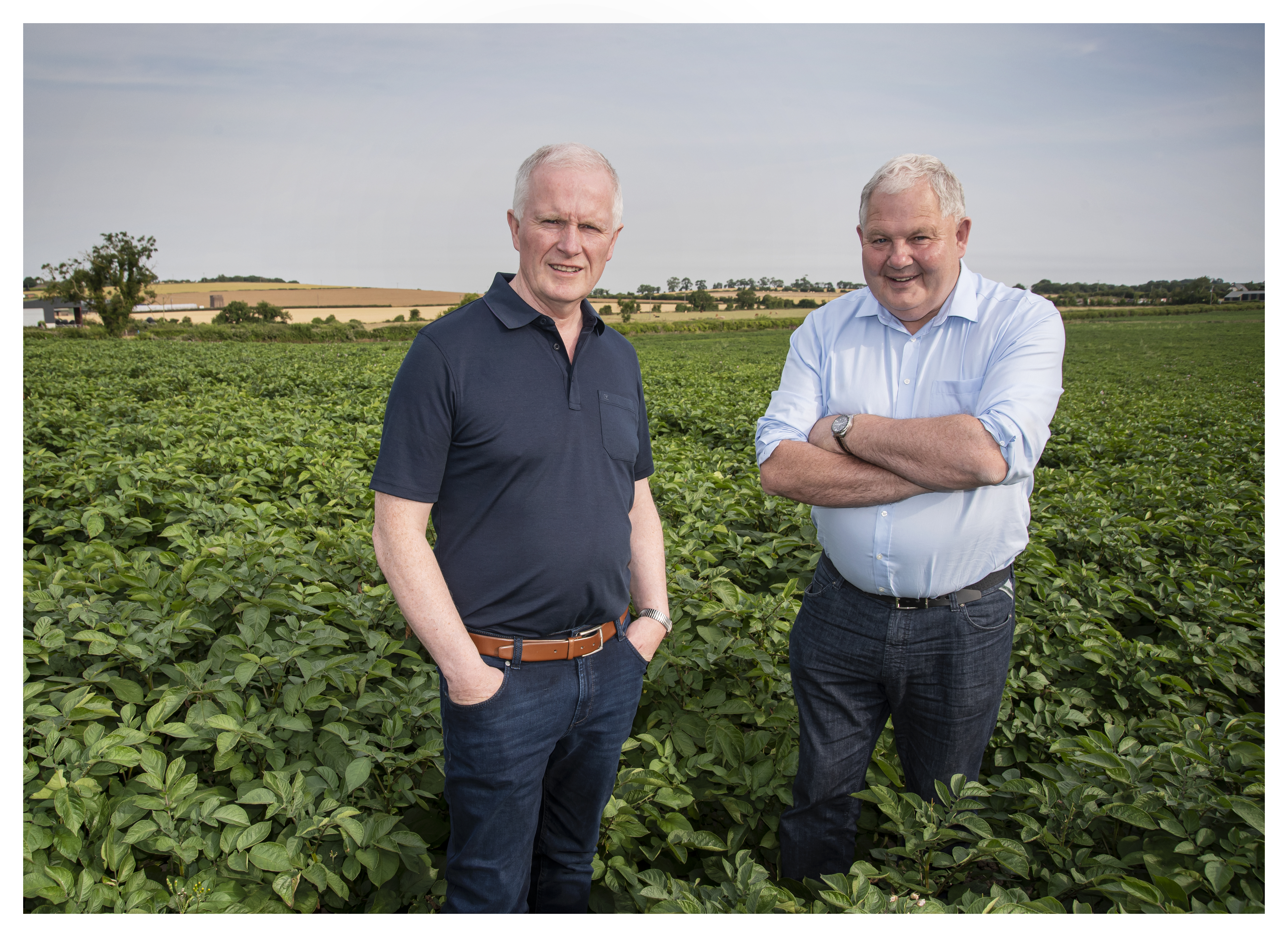 Country Crest and Tesco Ireland sign renewed multi-year contract worth ...